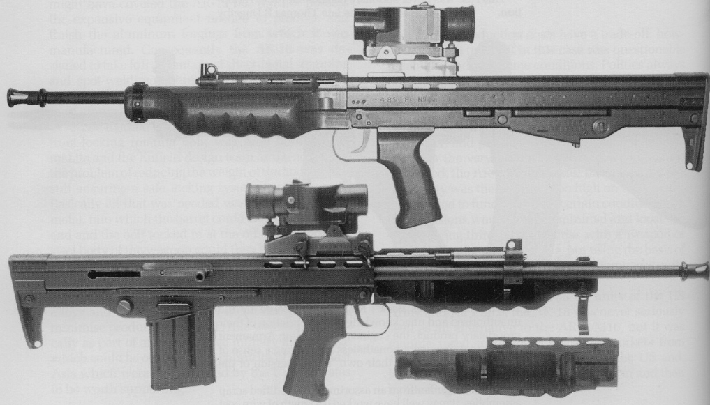 Буллпап: зрелый возраст.